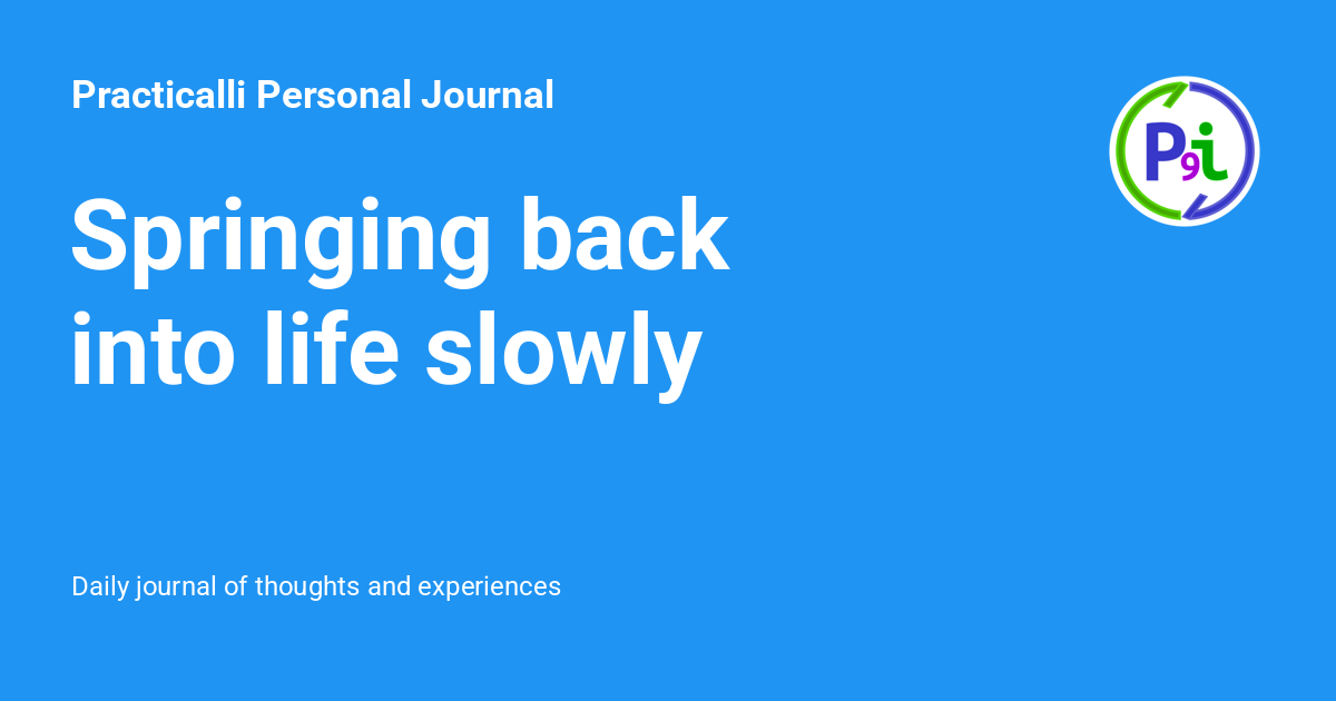Springing back into life slowly - Practicalli Personal Journal